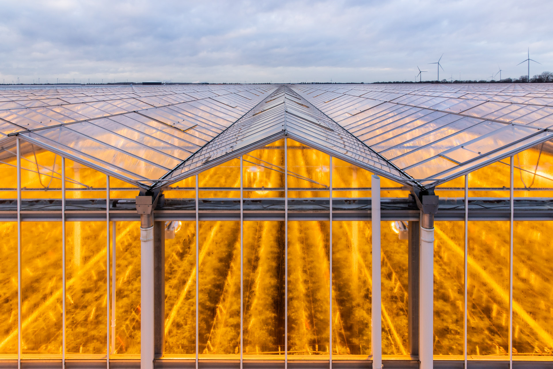 Our company - Agro Care Growers