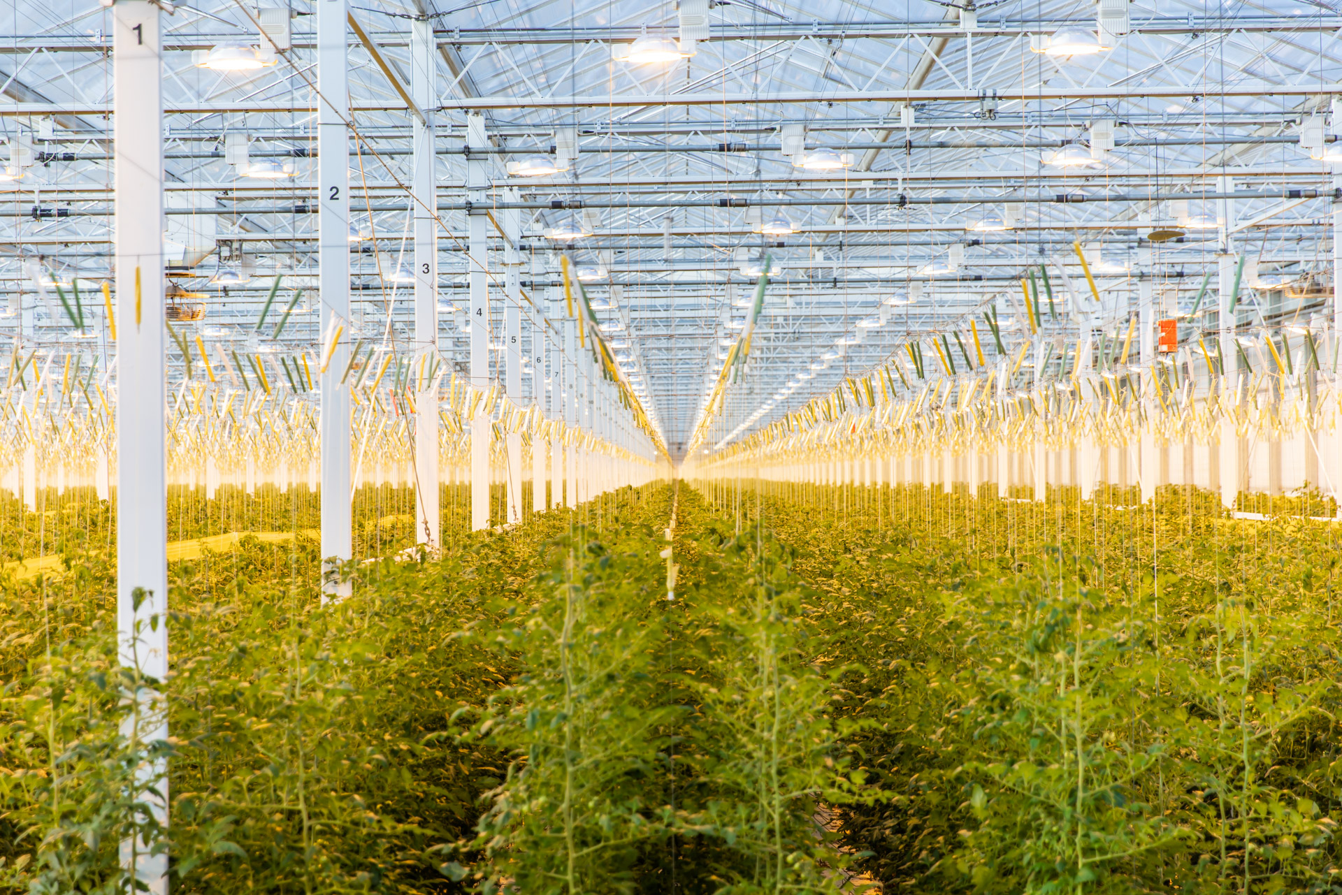 Sustainability - Agro Care Growers