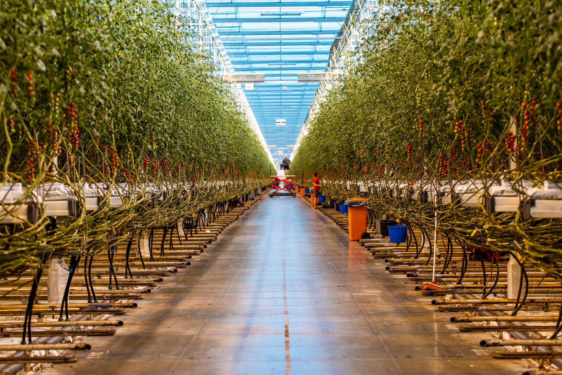 Wagenpad 17 - Agro Care Growers