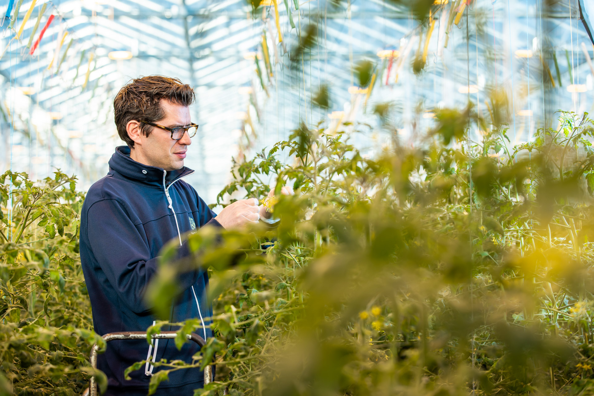 Werken bij... - Agro Care Growers