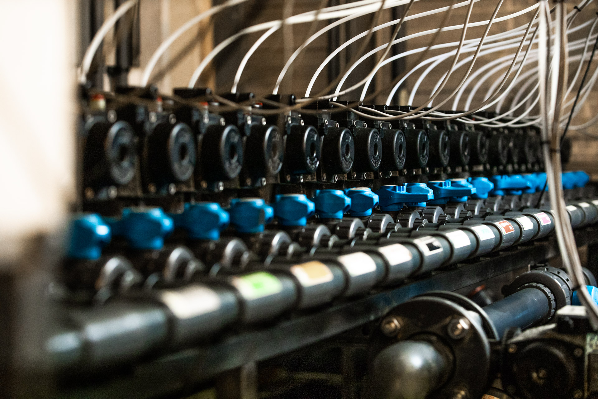 Sustainability - Agro Care Growers