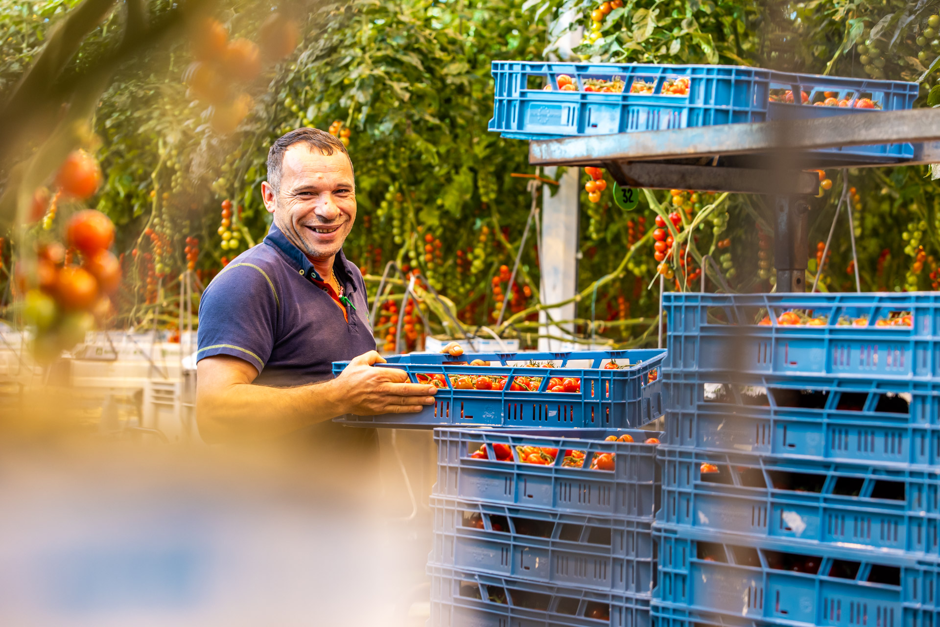 What we do - Agro Care Growers