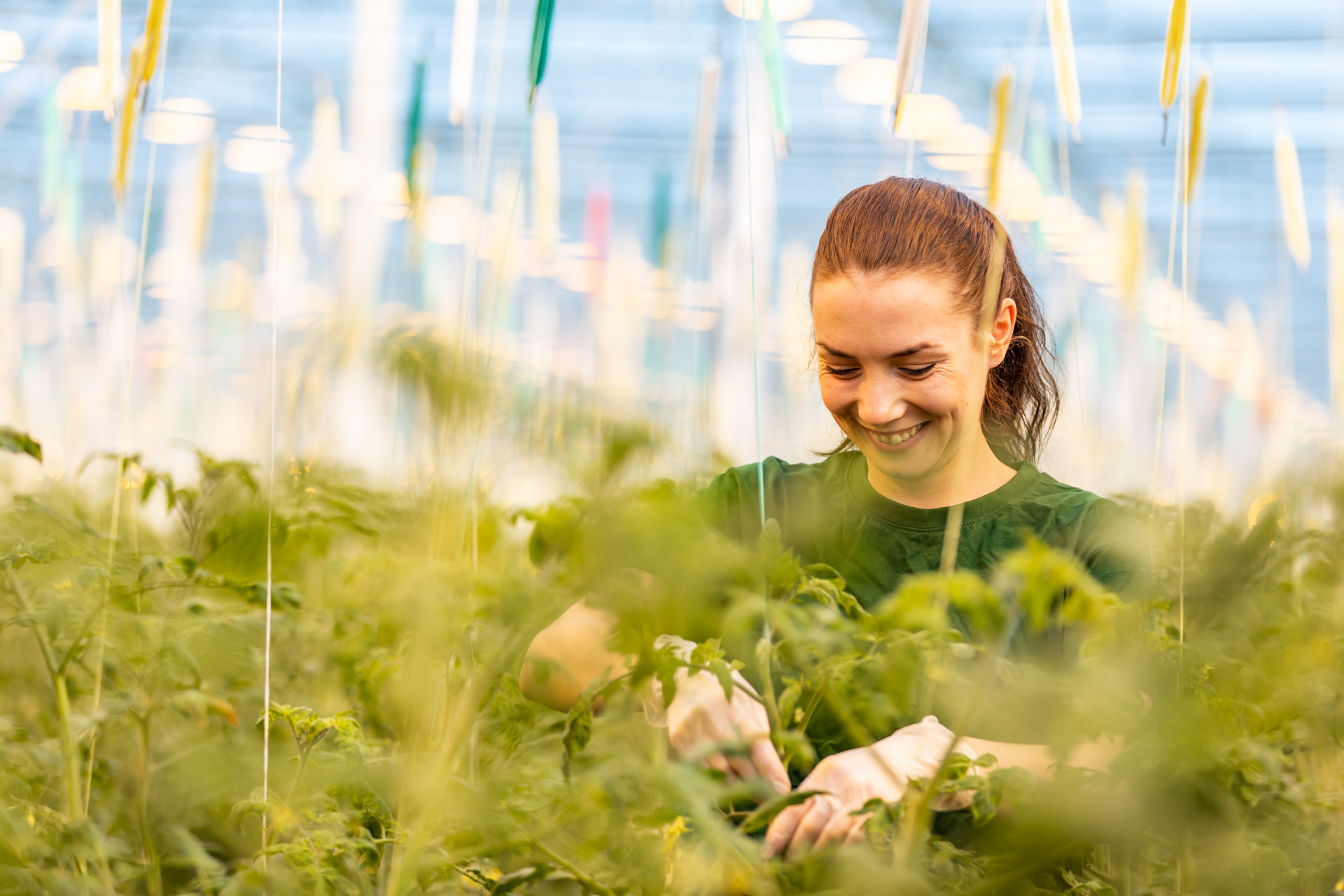 Sustainability - Agro Care Growers