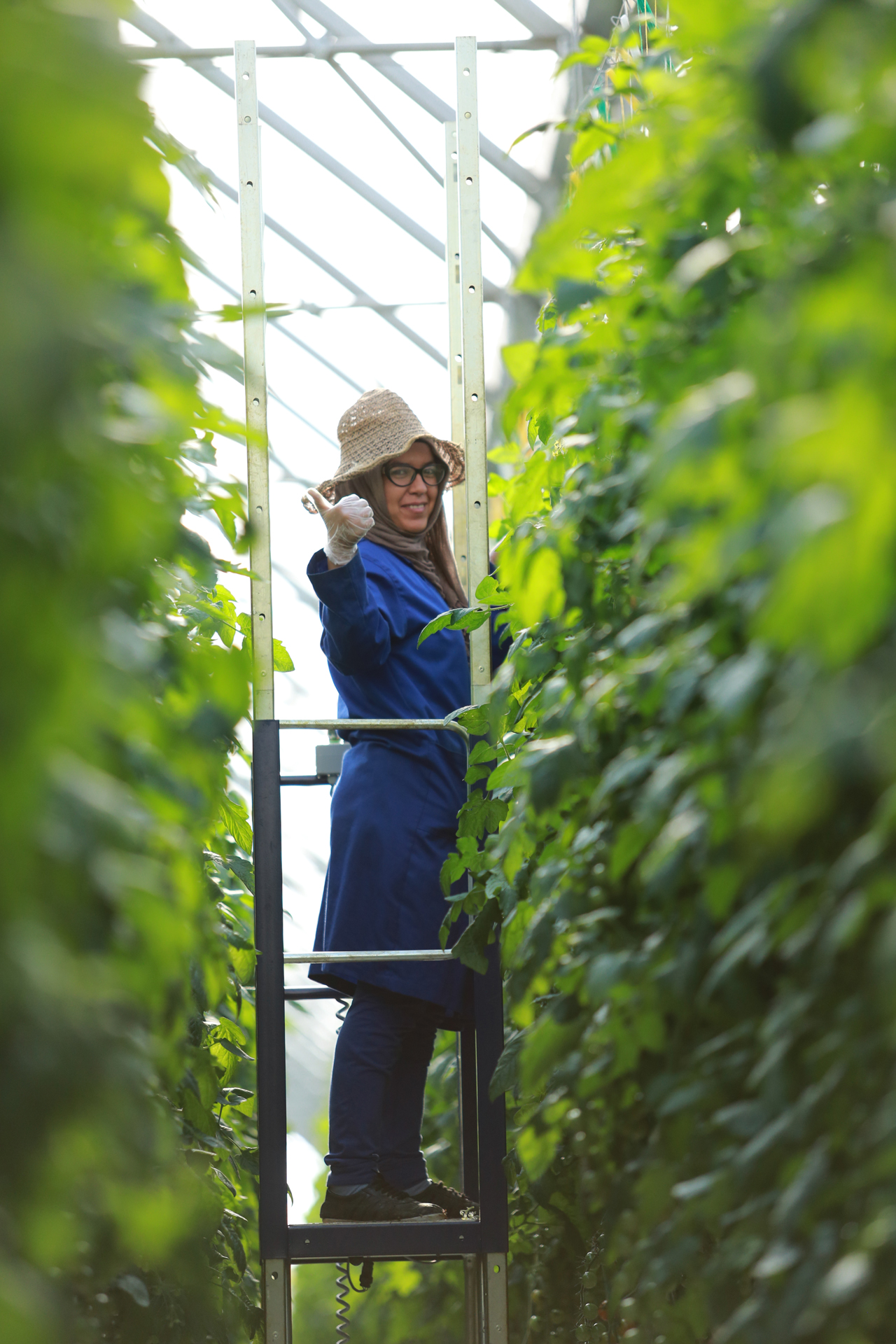 Who we are - Agro Care Growers